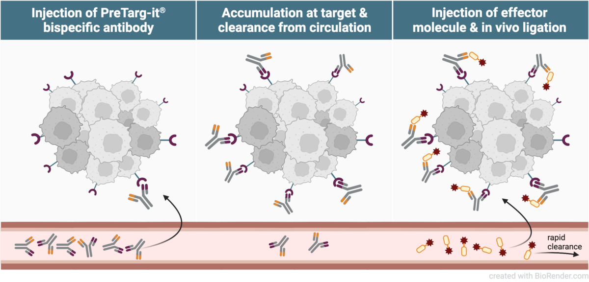 Anti-oxMIF antibodies for oncology & inflammation | OncoOne