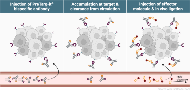 Anti-oxMIF antibodies for oncology & inflammation | OncoOne