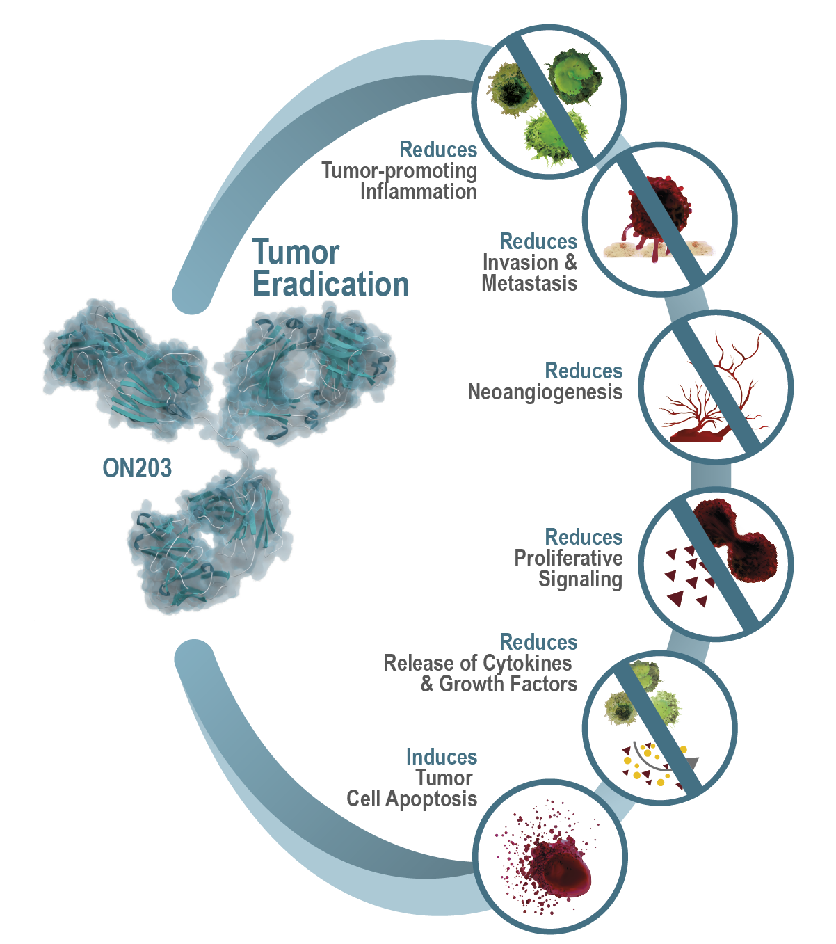 platform-oxMIF - OncoOne