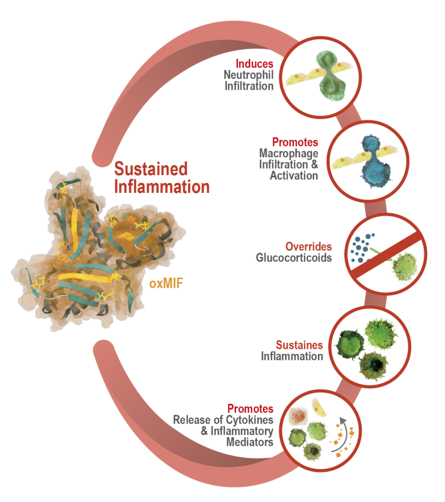 Disease Areas - OncoOne