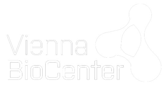 Innovative precision cancer therapies - OncoOne