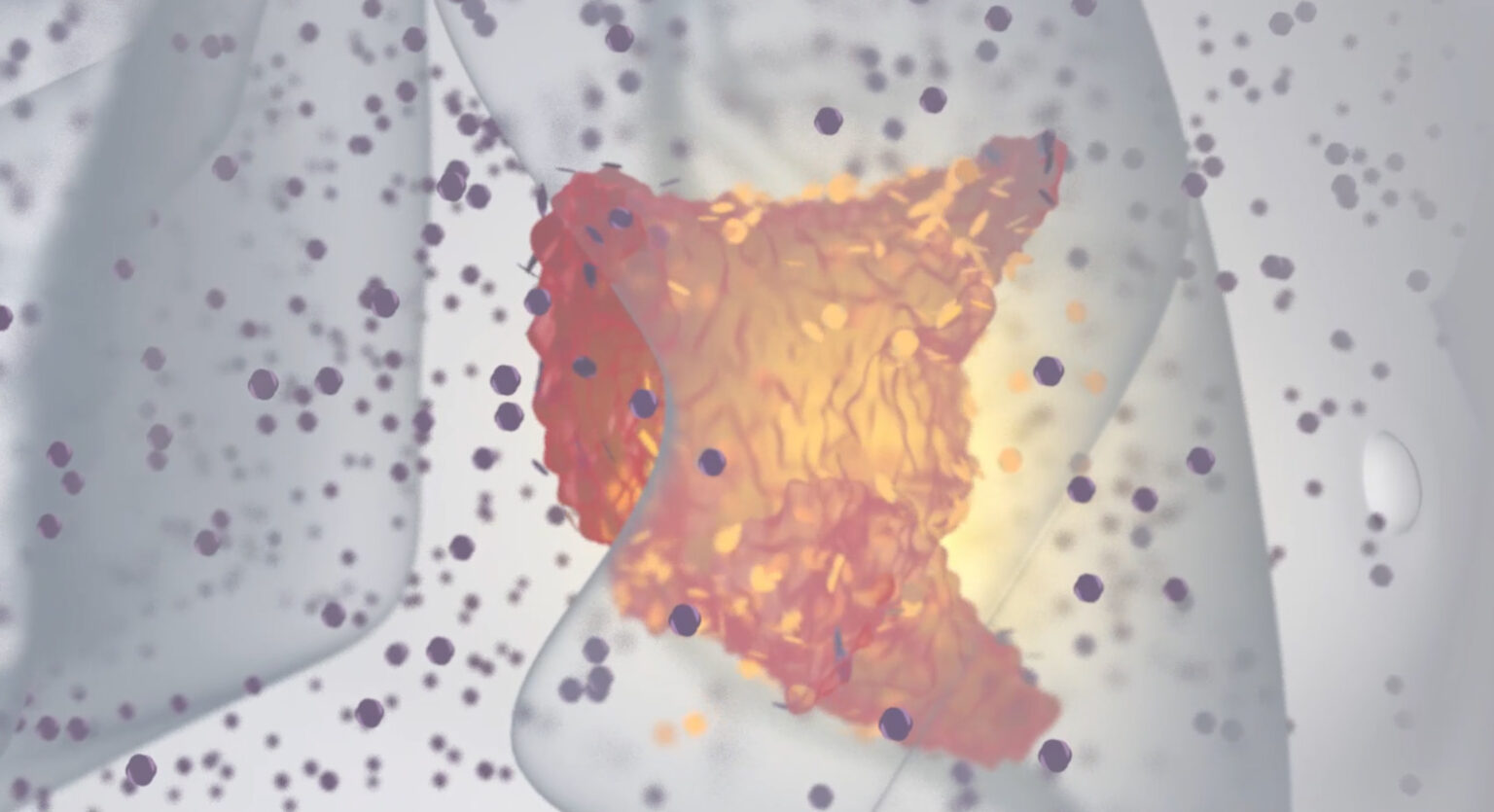 Technology Platforms - OncoOne