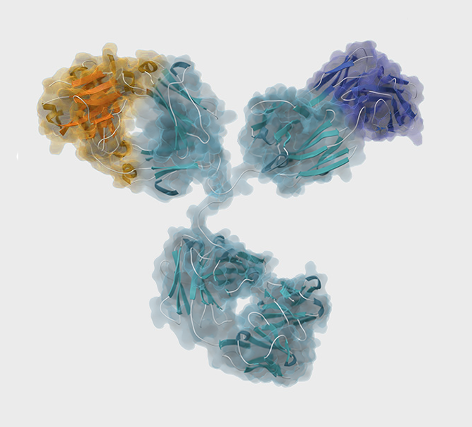 platform-oxMIF - OncoOne